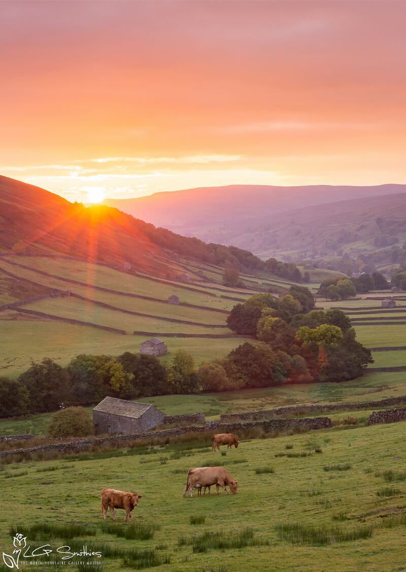 Yorkshire Dales - The North Yorkshire Gallery