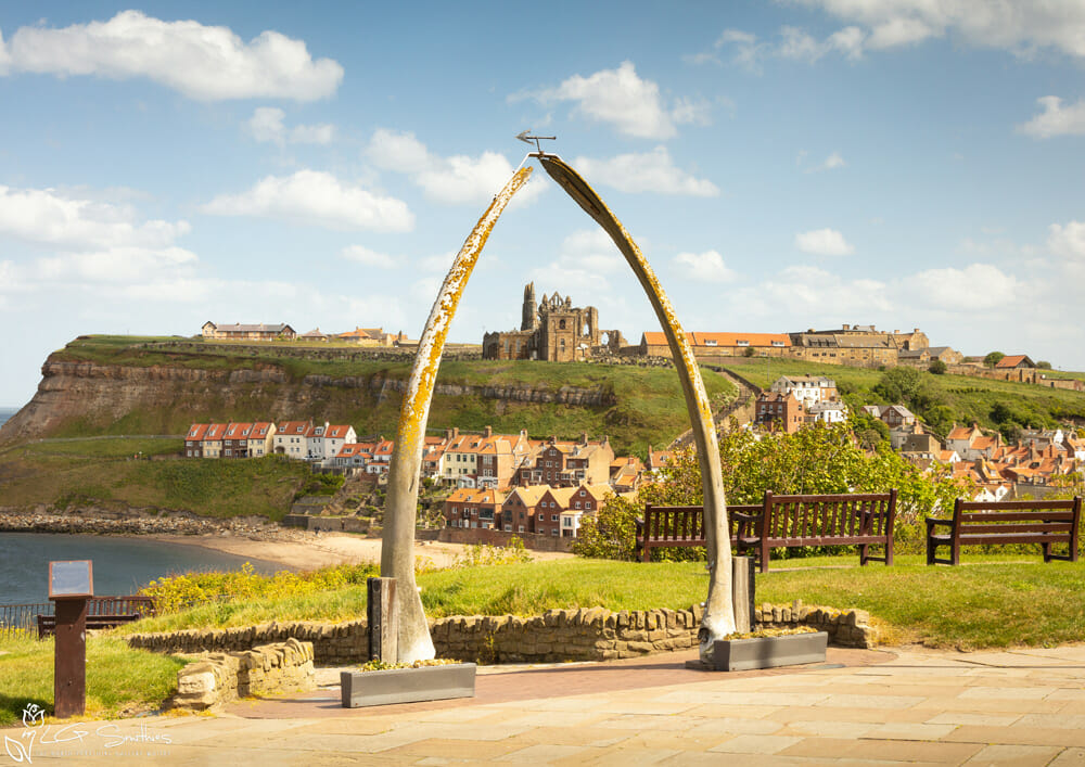 WHITBY Gallery - The North Yorkshire Gallery