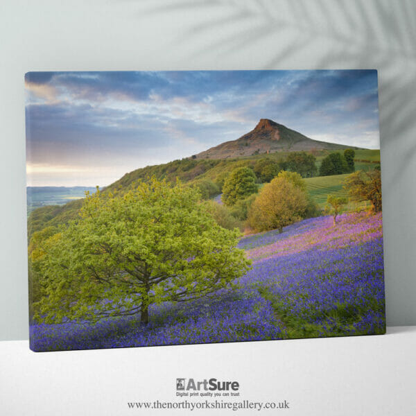 Roseberry Topping - The North Yorkshire Gallery