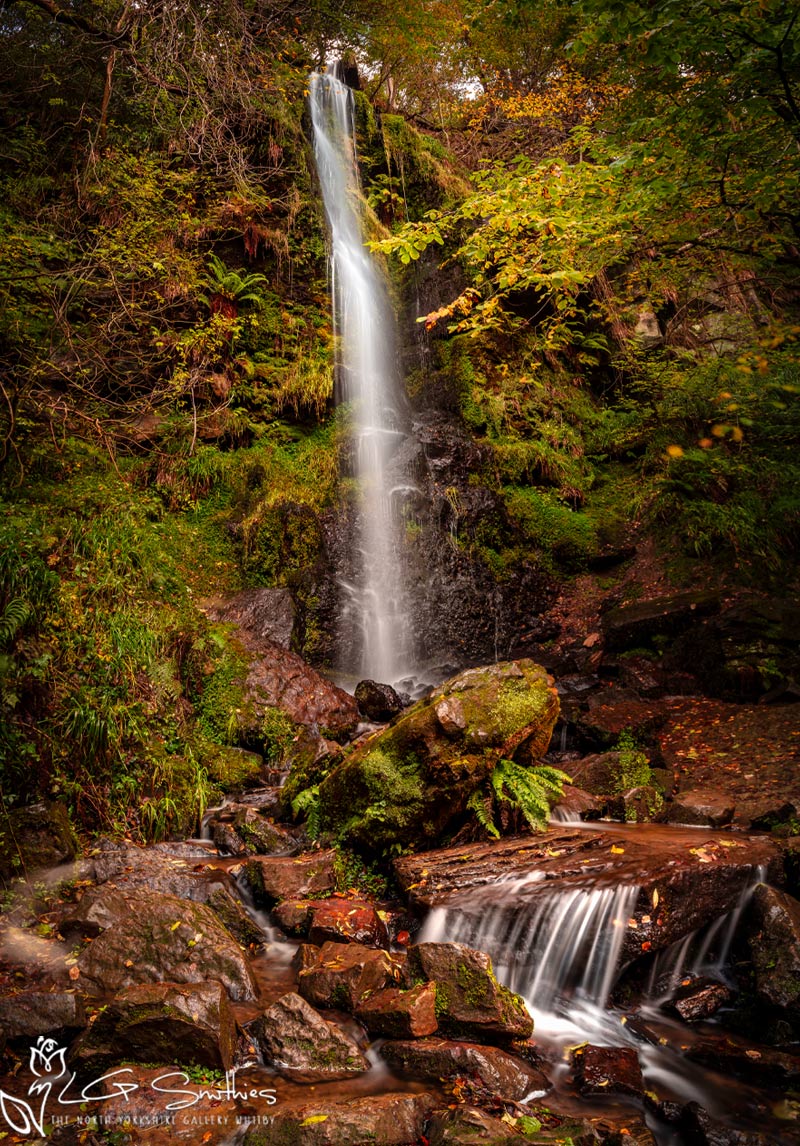 Mallyan Spout Waterfall - The North Yorkshire Gallery