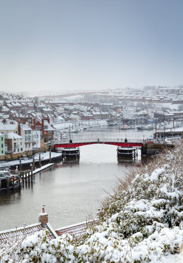 Whitby Christmas Cards | The North Yorkshire Gallery