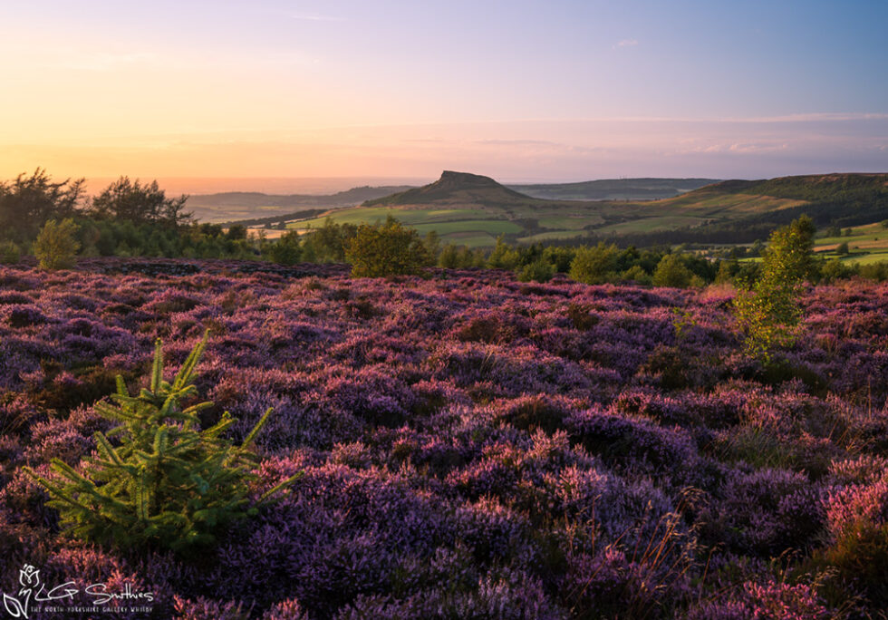 Roseberry Topping Prints | The North Yorkshire Gallery