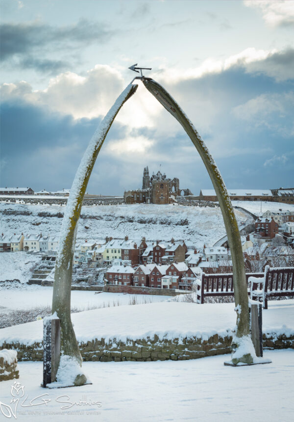 Whitby Christmas Cards | The North Yorkshire Gallery