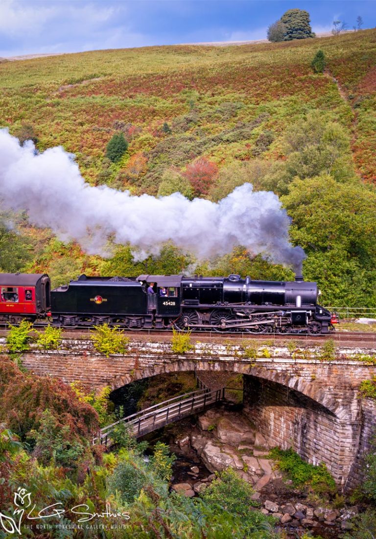 Eric Treacy Passing Water Arc NYMR - The North Yorkshire Gallery