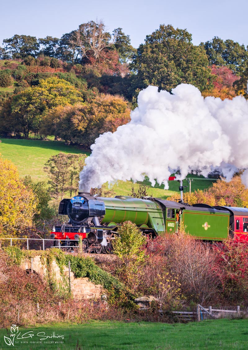 Loco 60103 Flying Scotsman At Esk Valley Cottages - The North Yorkshire Gallery