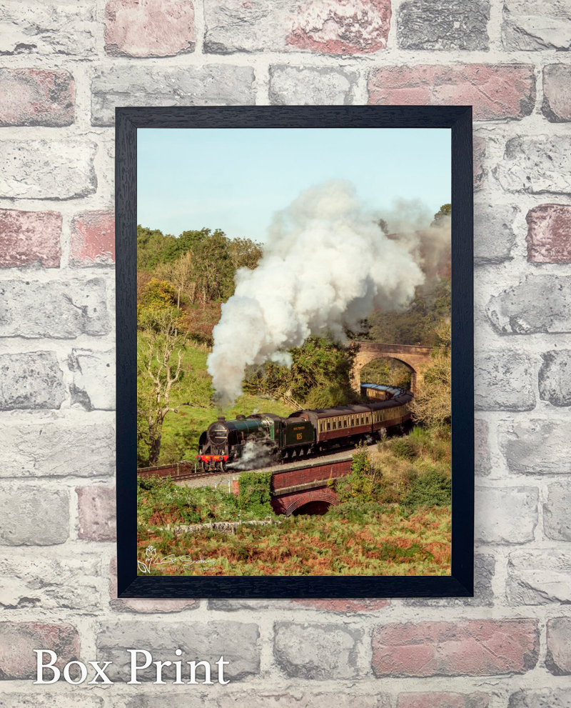 An S15 Steam Locomotive At Darnholme On The North York Moors - The ...