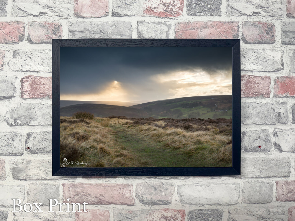Castleton Moor - The North Yorkshire Gallery