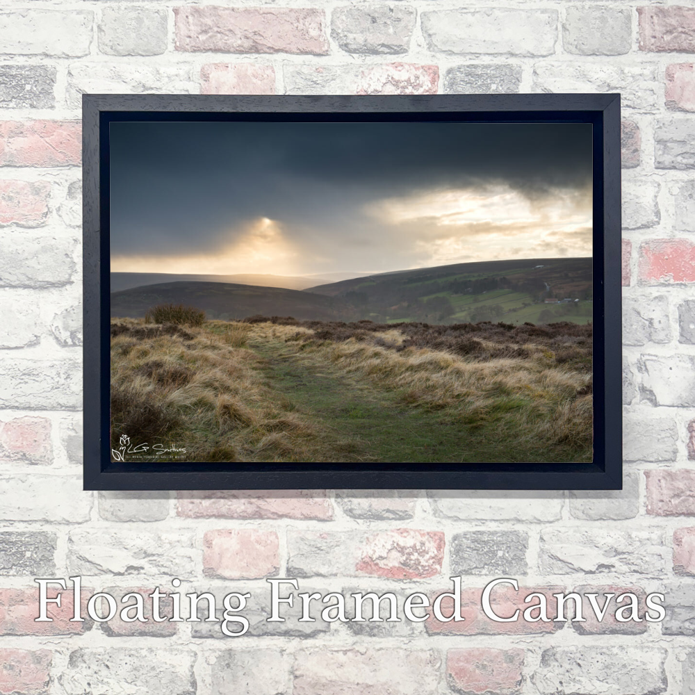 Castleton Moor - The North Yorkshire Gallery