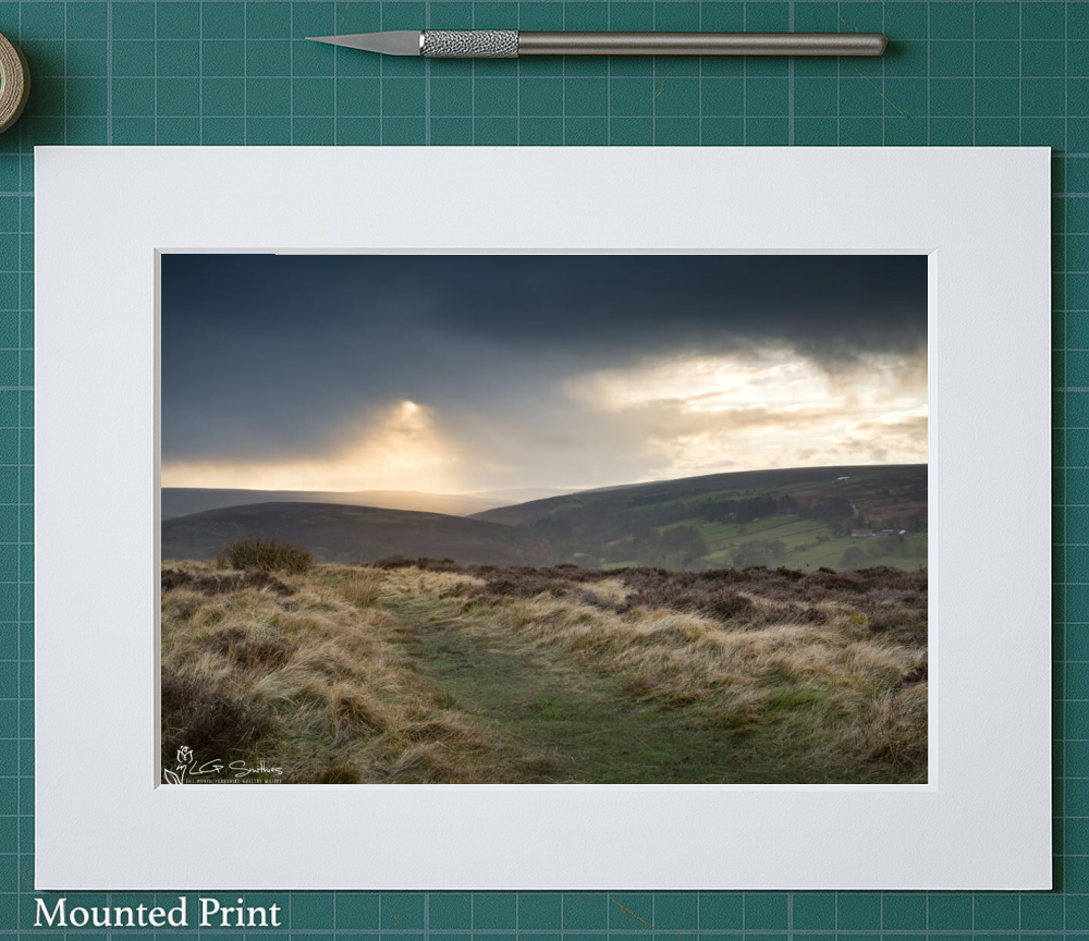 Castleton Moor - The North Yorkshire Gallery