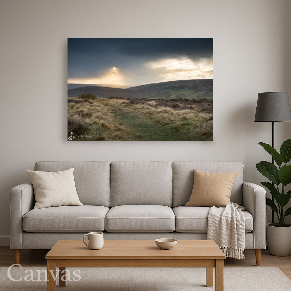 Castleton Moor - The North Yorkshire Gallery