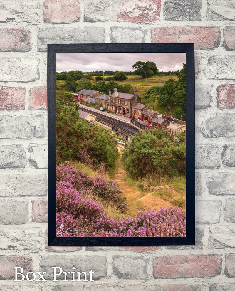 Hogsmeade Station Goathland - The North Yorkshire Gallery