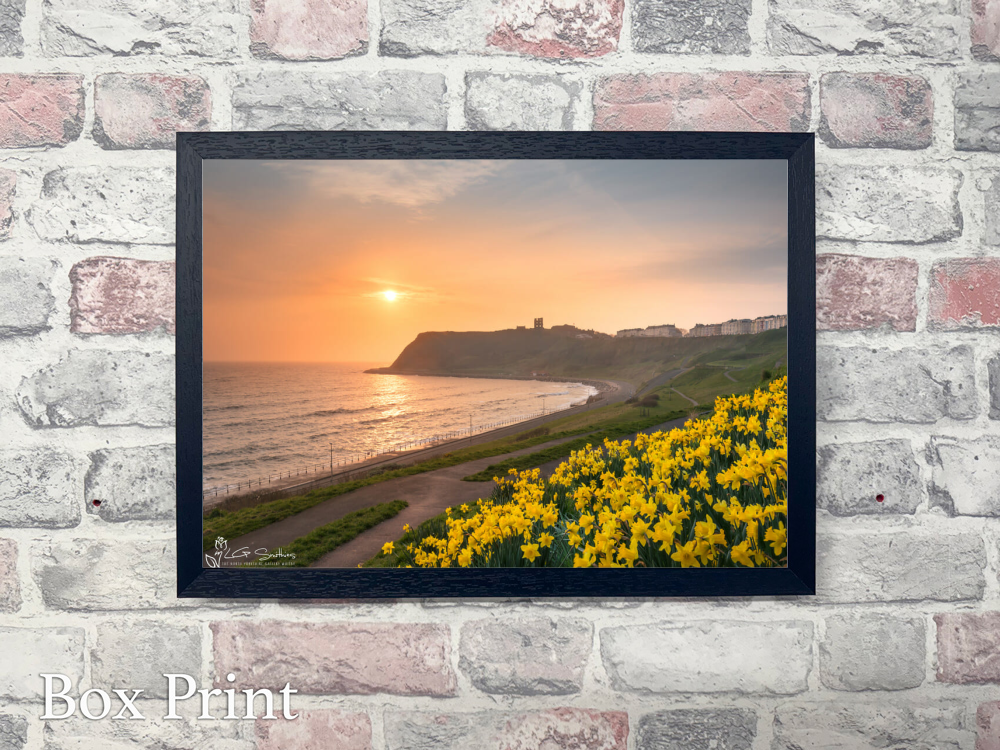 North Bay Spring - The North Yorkshire Gallery