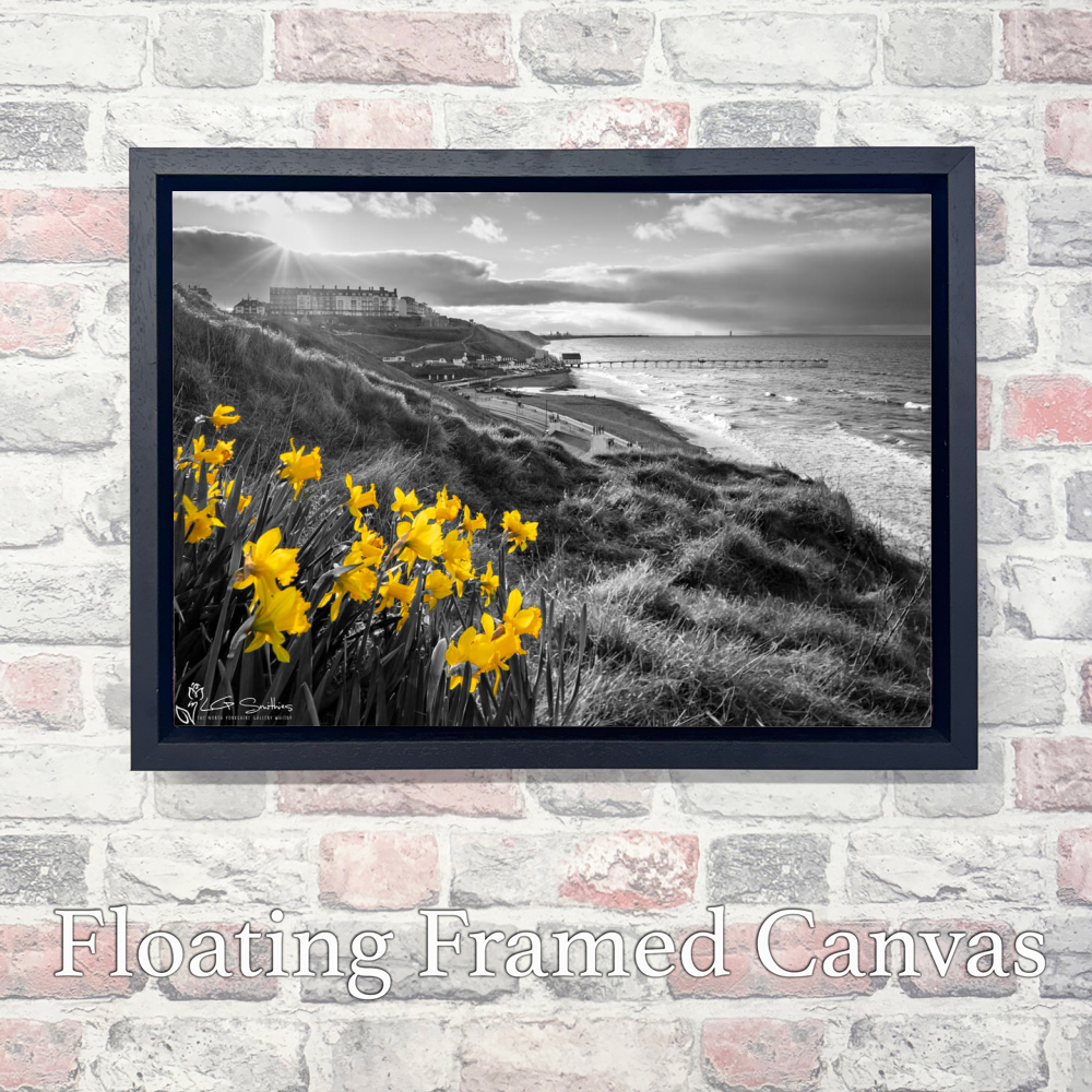 Saltburn Daffodil Sunset Colour Splash - The North Yorkshire Gallery