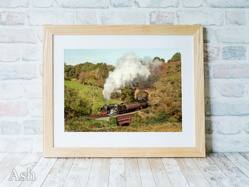 Steam Train On The North York Moors Railway - The North Yorkshire Gallery