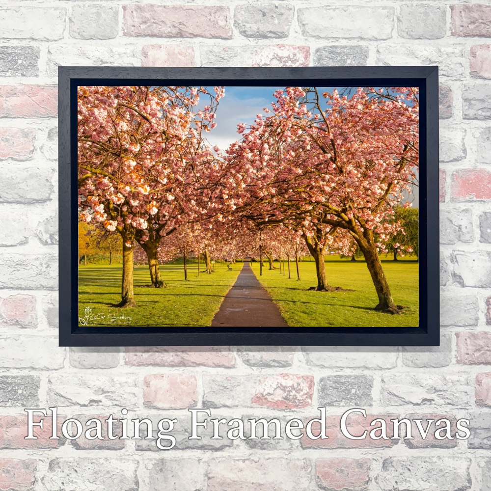 The Stray Harrogate - The North Yorkshire Gallery